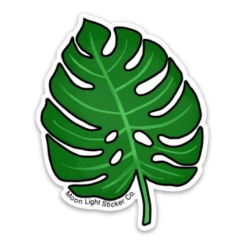 Monstera Leaf Sticker – Moon Light Sticker Co.